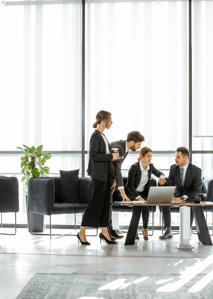 Strategy and organisation | Aremis